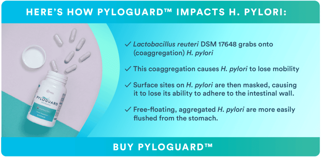 PyloGuard – Rebel Health Tribe