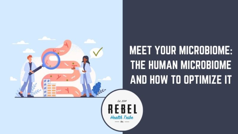 Meet Your Microbiome: The Human Microbiome and How to Optimize It ...