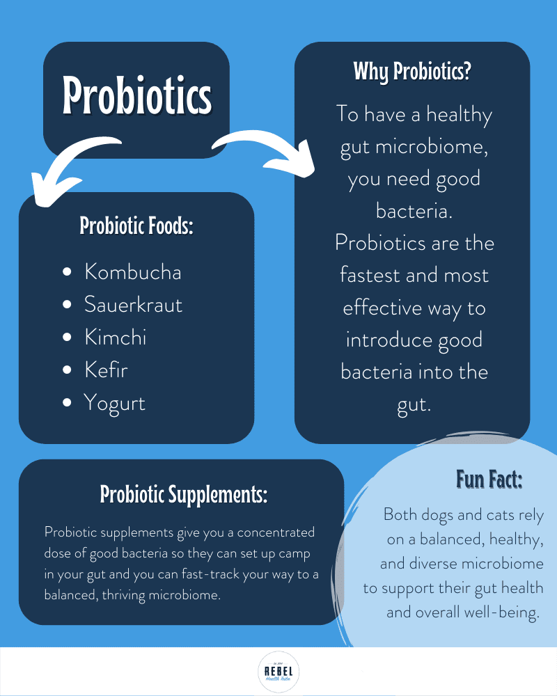 Benefits of Probiotics Including Improved Gut Health – Rebel Health Tribe